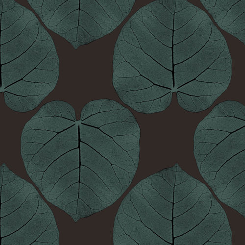 FICUS (Otter) - Robin Sprong Wallpapers